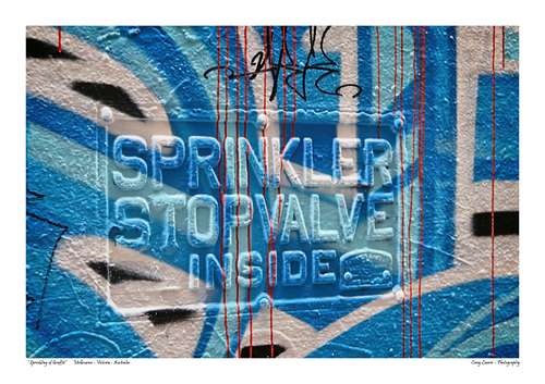 Home | Craig Lowrie Photography