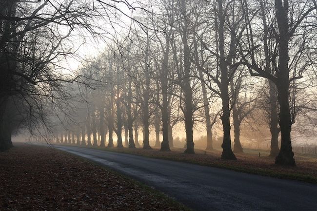 Composition Tips to use Leading Lines in Photography