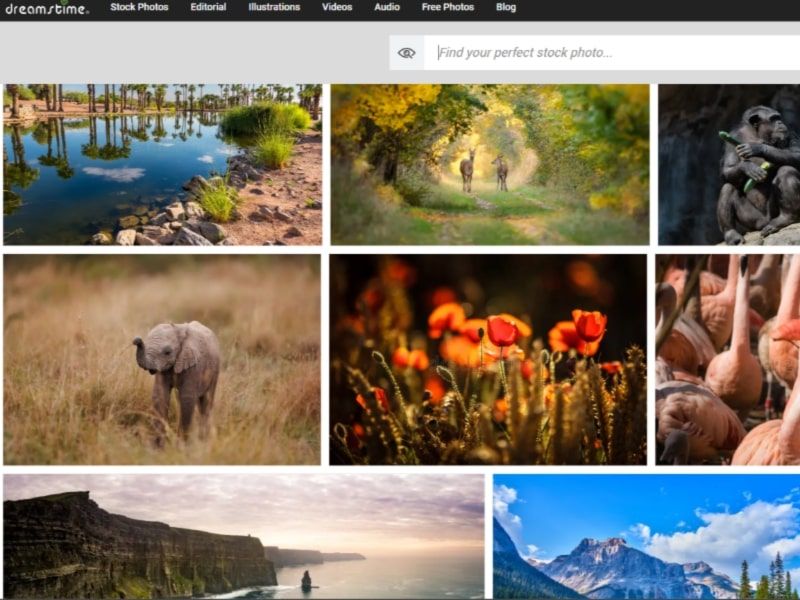 How to Sell Stock Photos Online - Guide for Photographers (2023 updated)