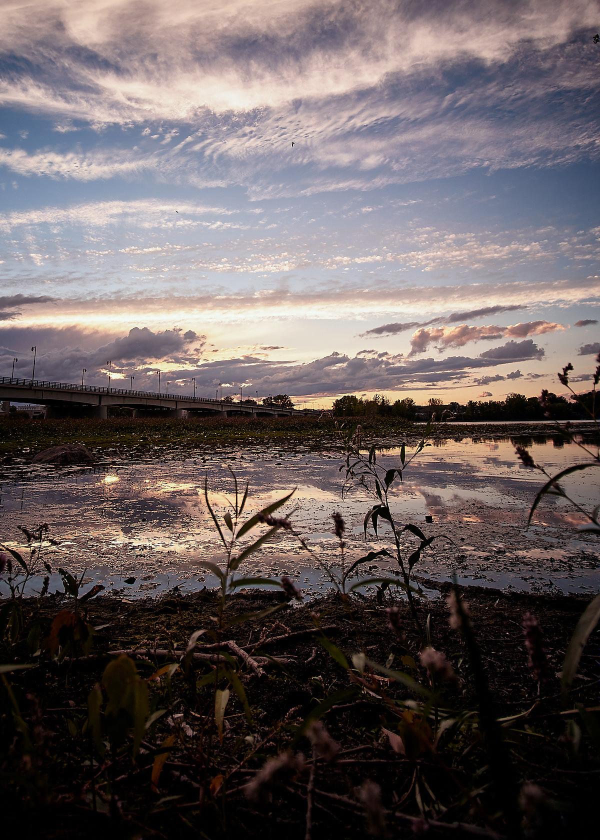 Pascal Surget Photographie