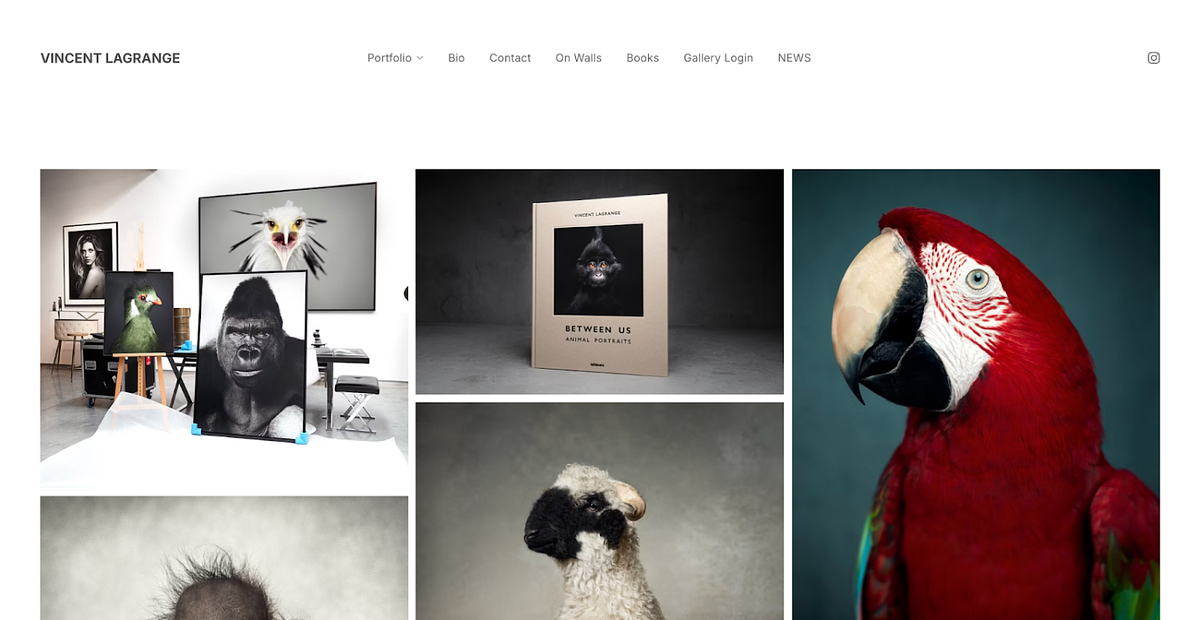 33 tipi di stili e tecniche fotografiche con esempi